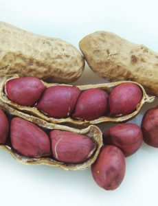 Peanuts – Pearl Food